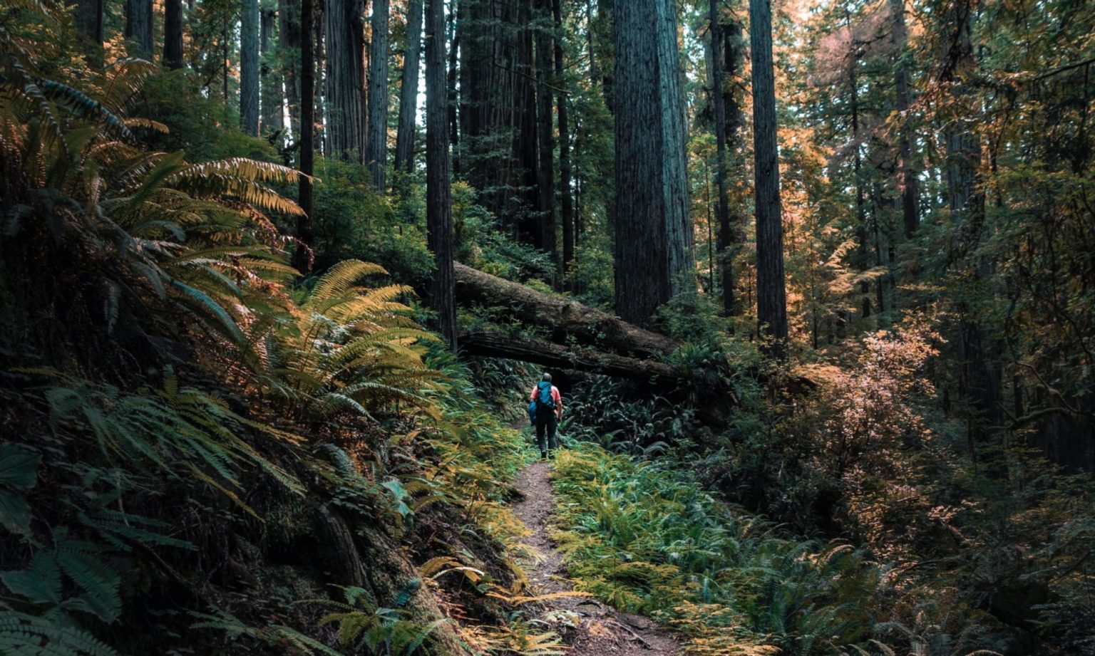 California State Parks Week – This is where you live.