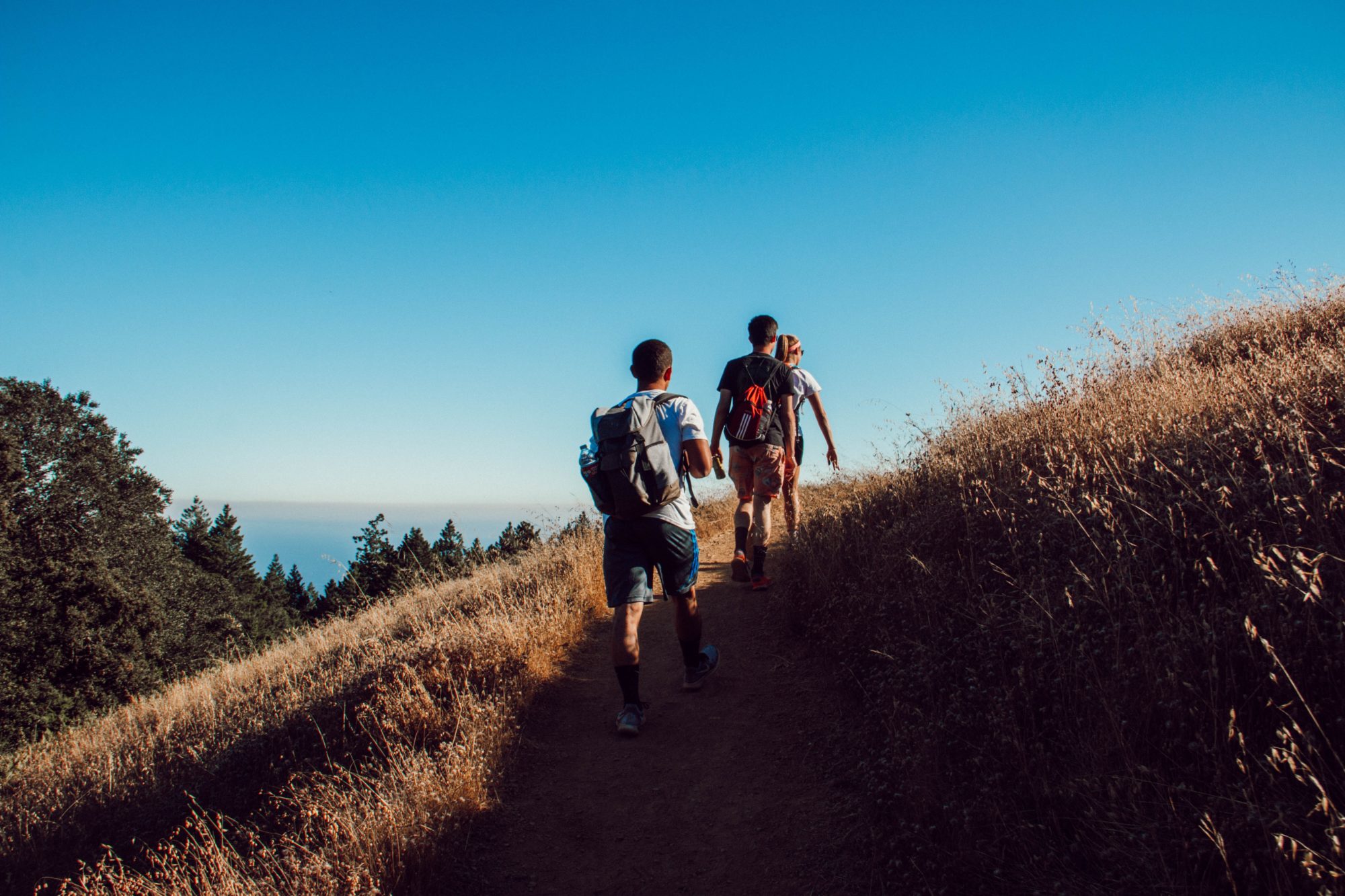 California State Parks Week – This is where you live.