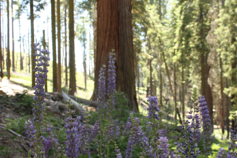 California State Parks Week – This is where you live.